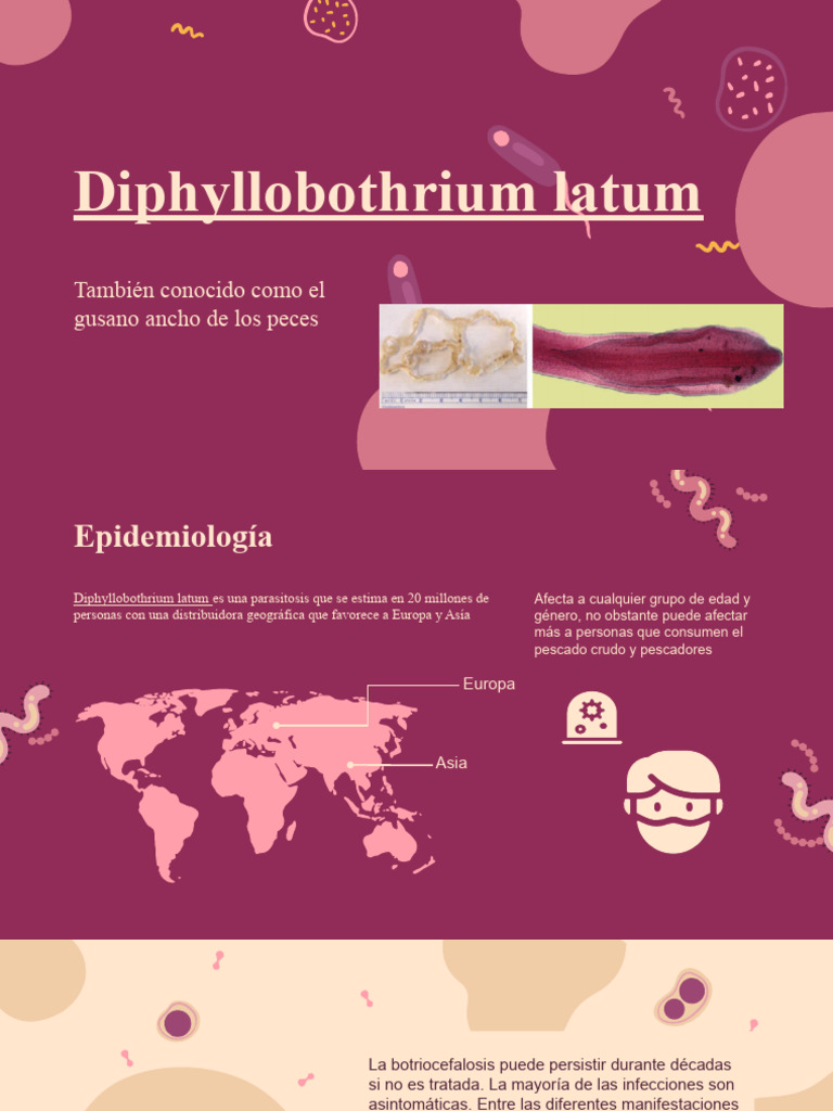 Parasitología (Diphyllobothrium Latum) | PDF | Epidemiología | Medicina ...