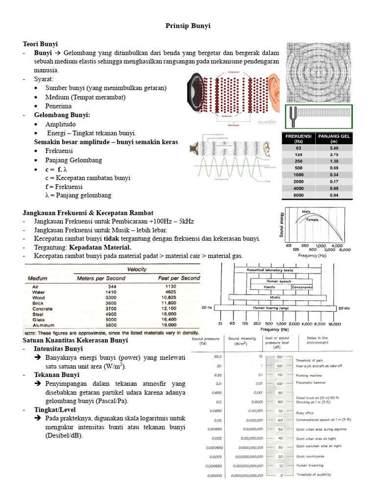 Prinsip Bunyi | PDF