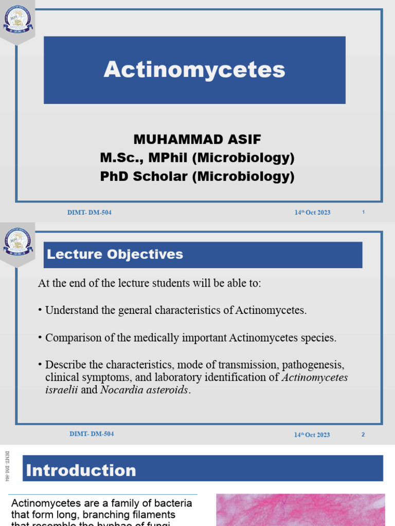 Actinomycetes (14-10-2023) | Download Free PDF | Diseases And Disorders ...