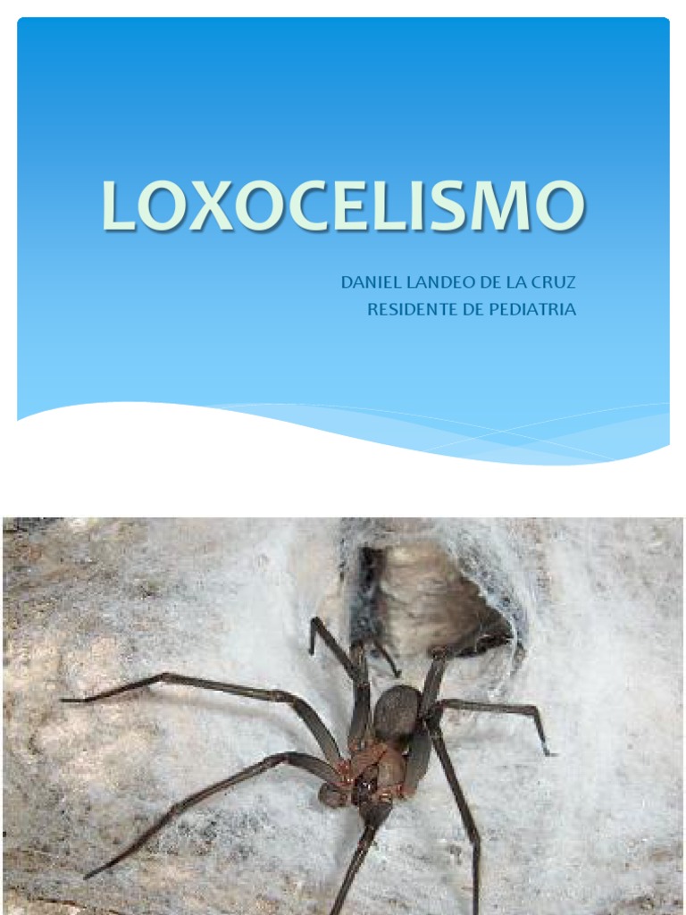 LOXOCELISMO | Medical Specialties | Diseases And Disorders