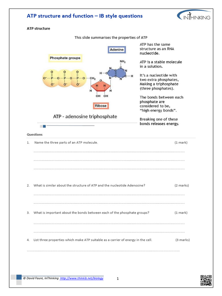 Atp Structure Function Ibstyle Qns | PDF | Science & Mathematics