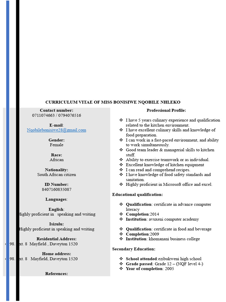 Curriculum Vitae of BN Chef | PDF