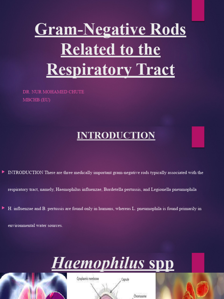 Gram-Negative Rods Related To The | PDF | Infection | Causes Of Death