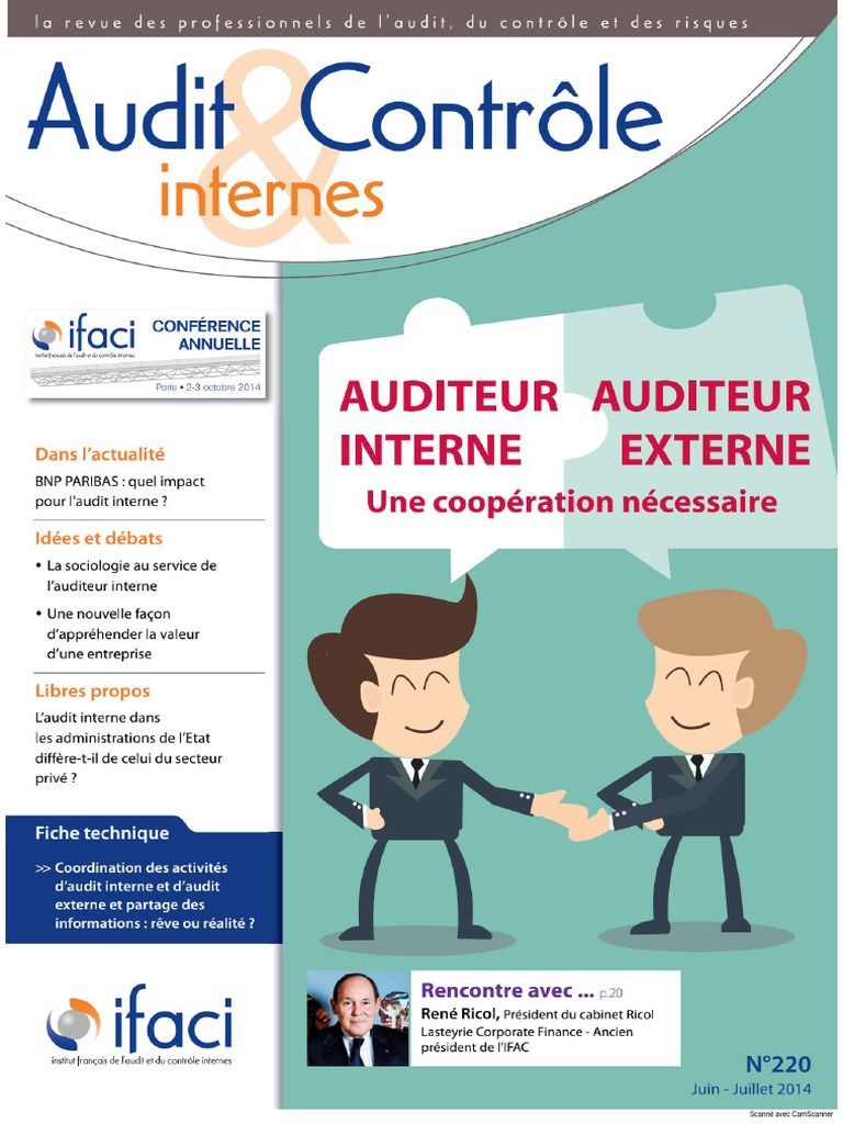 Audit Et Contrôle Interne | PDF