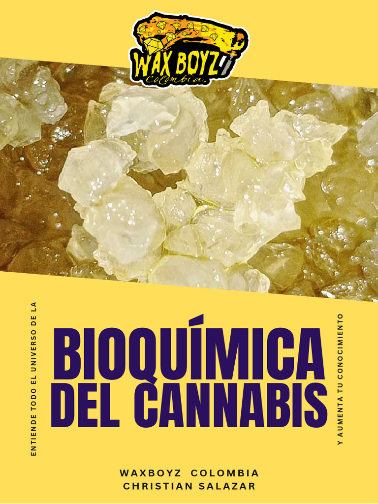 Bioquìmica Del Cannabis Pdf Tetrahidrocannabinol Cannabis Droga