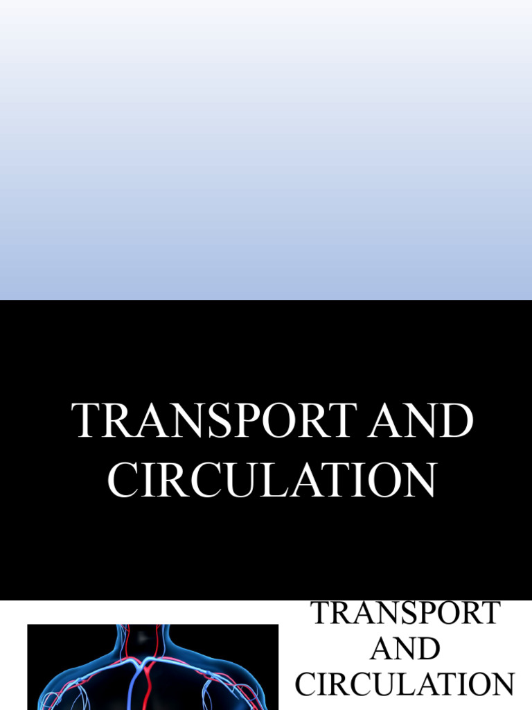 Transport and Circulation | PDF