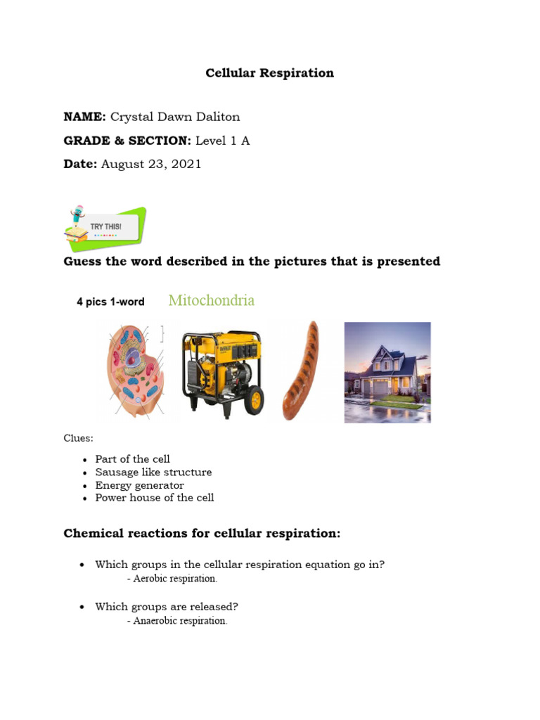 Cellular Respiration | PDF | Cellular Respiration | Adenosine Triphosphate