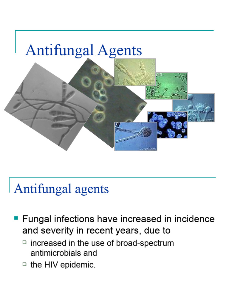Antifungal Agents | PDF | Candidiasis | Clinical Medicine