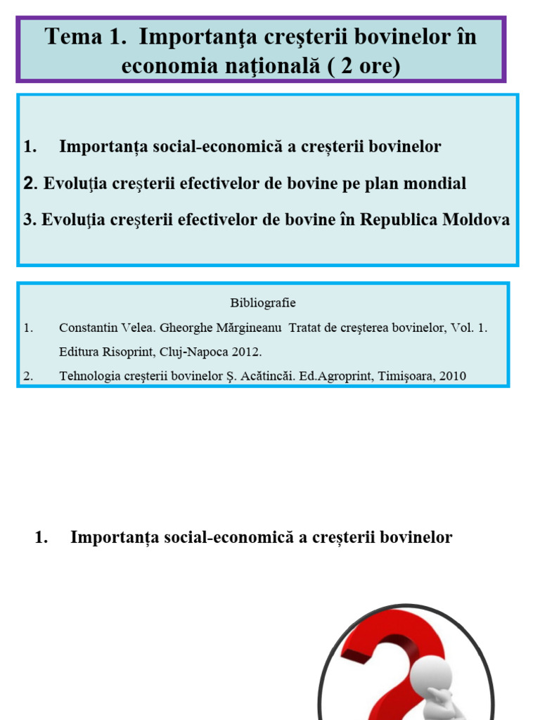 Tema 1 Importanta | PDF