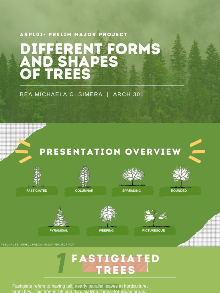 2023-0404 - Arpl01 - Arch301 - Simera Bea Michaela - Different Forms Shapes of Trees | PDF ...