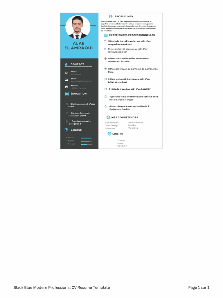 Black Blue Modern Professional CV Resume Template (5) | PDF