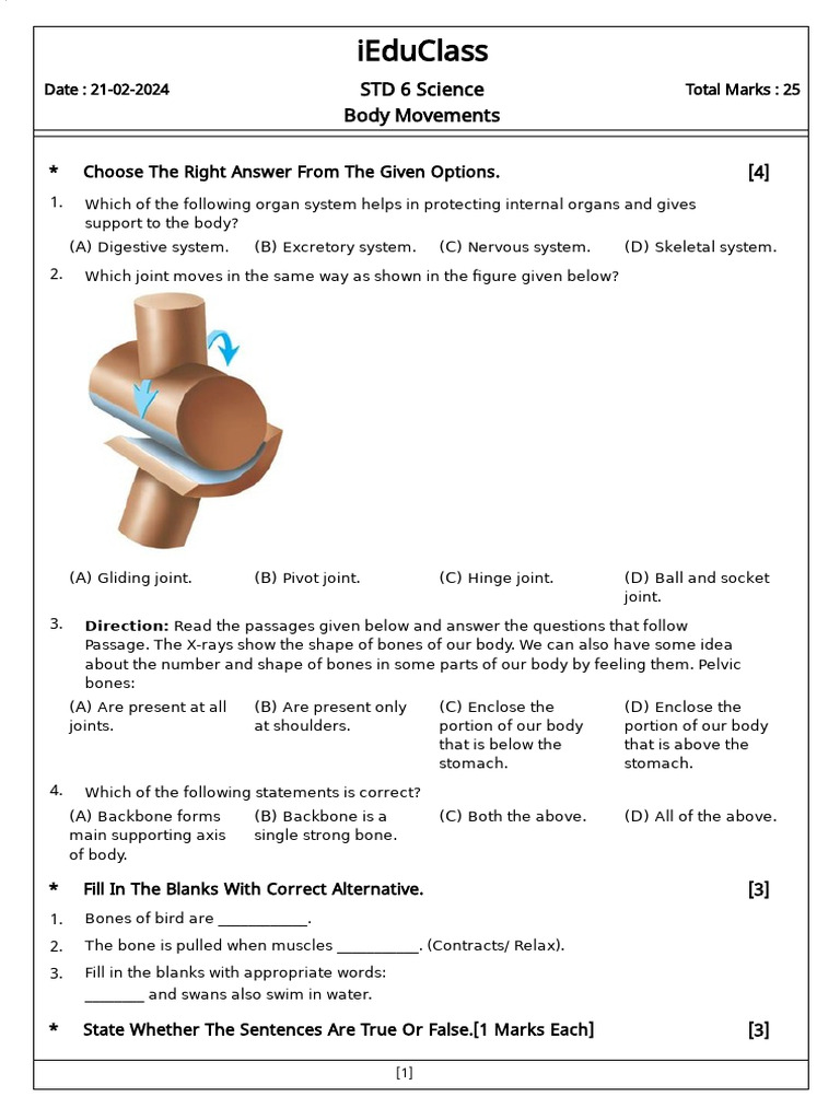 Class 6 Body Movements Worksheet | PDF | Shoulder | Arm