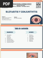 GPC #06 - CONJUNTIVITIS AGUDA - Feb 2022 | PDF | Alergia | Enfermedades ...