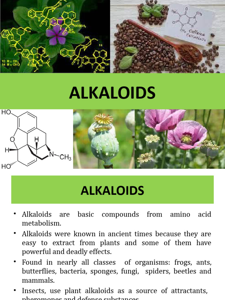 Alkaloids | Download Free PDF | Alkaloid | Chemical Compounds
