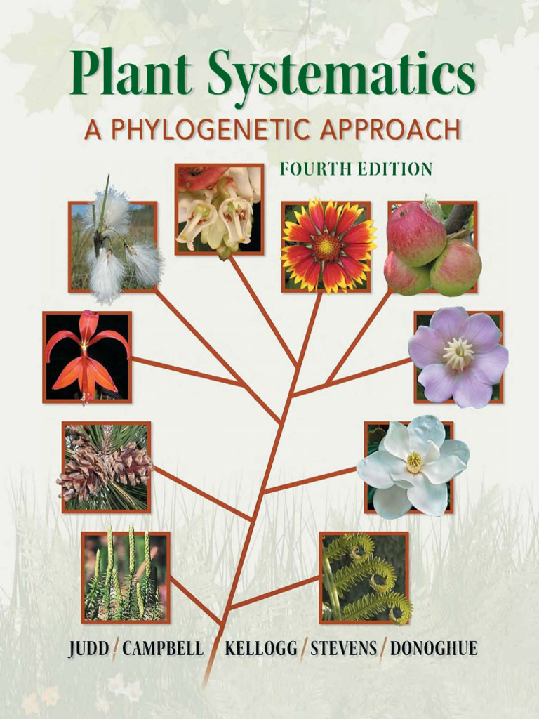 Plant Systematics: Phylogenetic Approach | PDF | Science & Mathematics