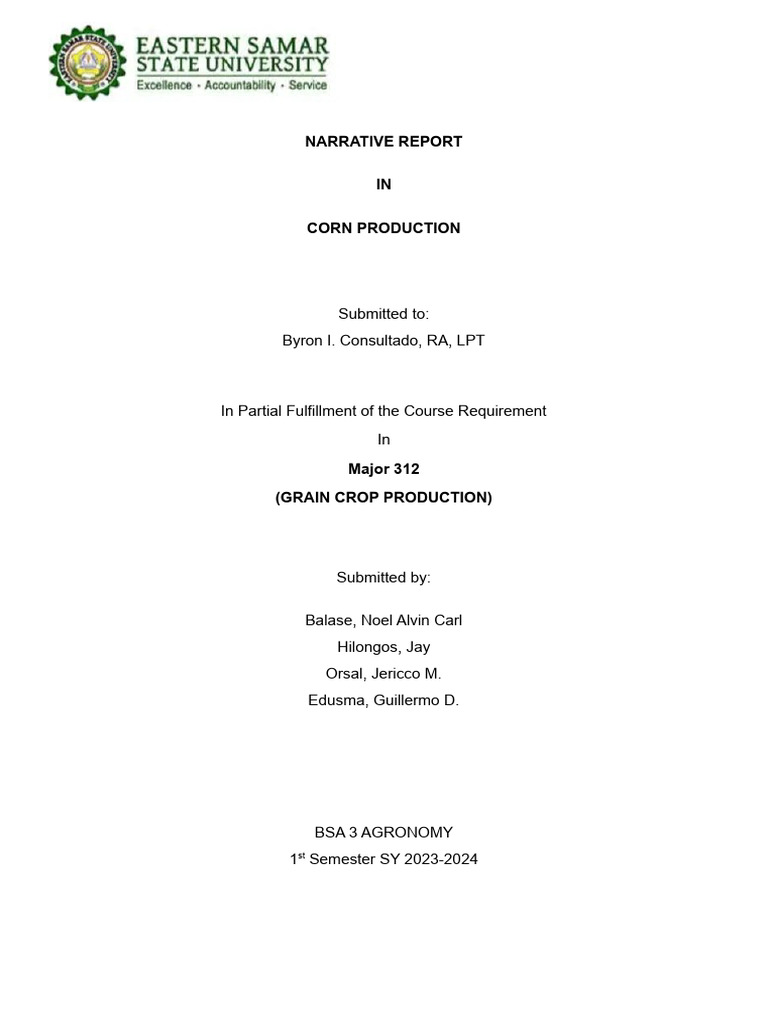 Corn Narrative Report | PDF | Maize | Cereals