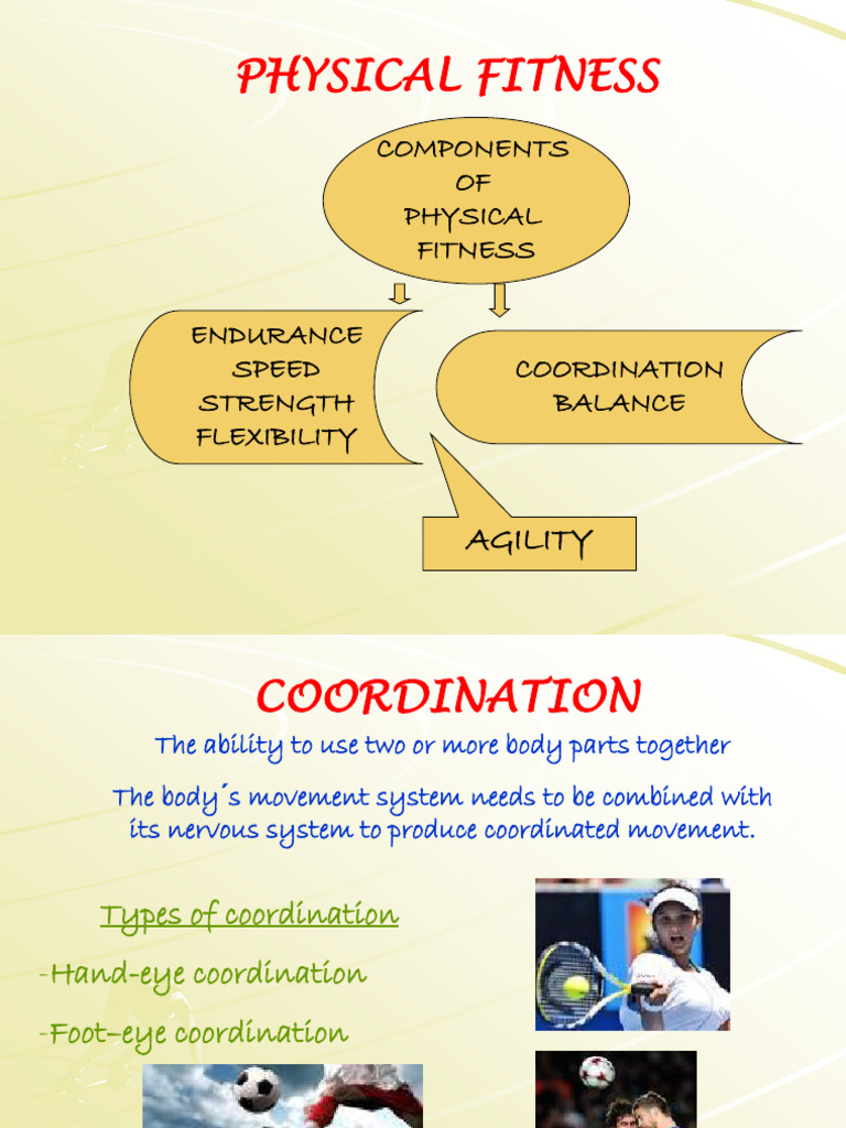 Agility, Balance, and Coordination Essentials | PDF | Self-Improvement