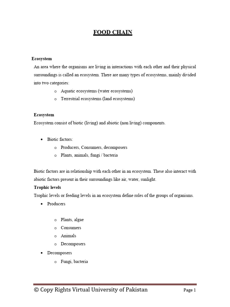 Food Chain | PDF | Ecosystem | Food Web