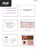 Termo Roacutan | PDF | Gravidez | Anticoncepcionais
