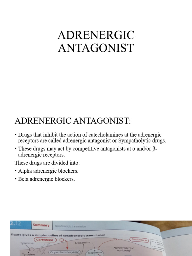 Adrenergic Antagonist | PDF | Acetylcholine | Norepinephrine
