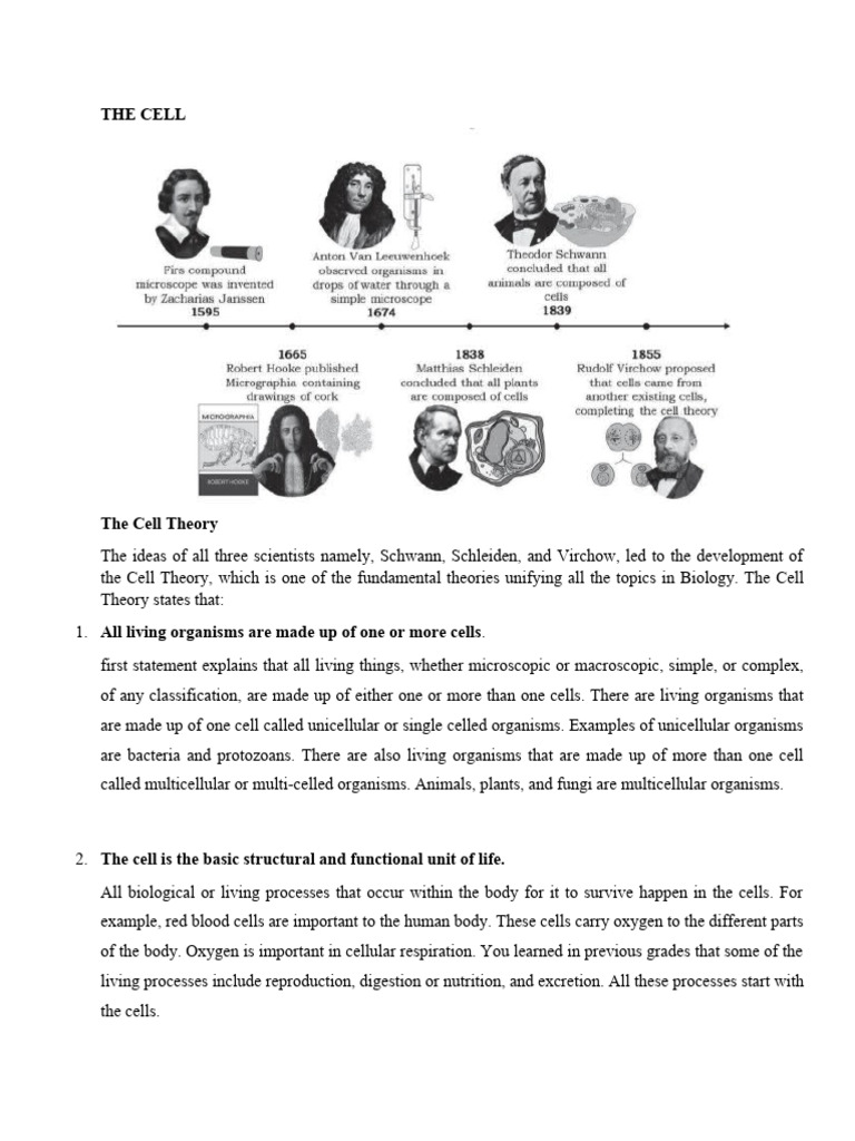 Cell and Tissue | PDF | Epithelium | Cell Nucleus