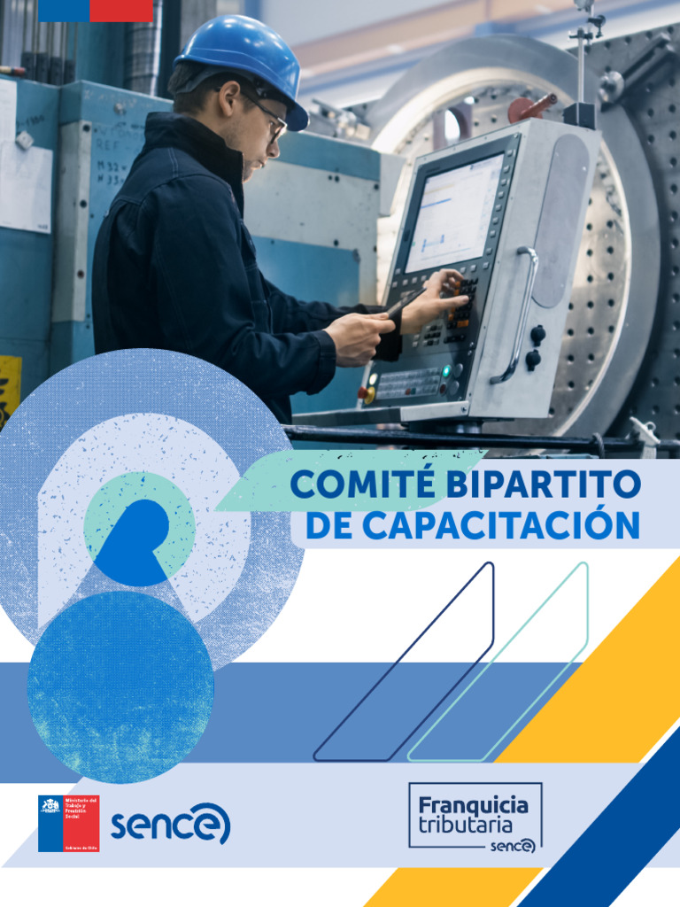 Guia Comite Bipartito de Capacitacion FT | PDF | Business