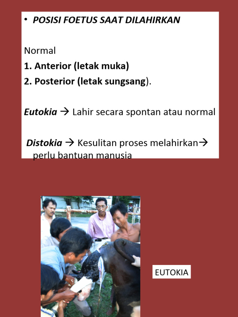 Posisi dan Masalah Kelahiran Foetus | PDF | Griya & Taman | Sains ...