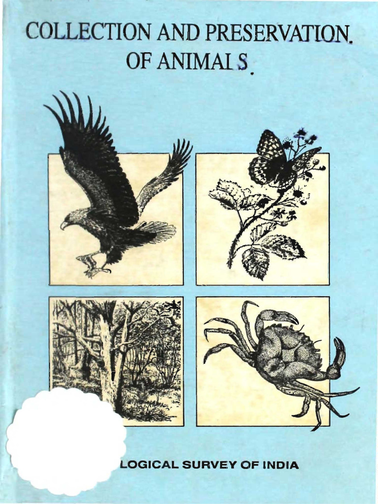 Collecting & Preserving Animal Specimens | PDF | Staining | Biology