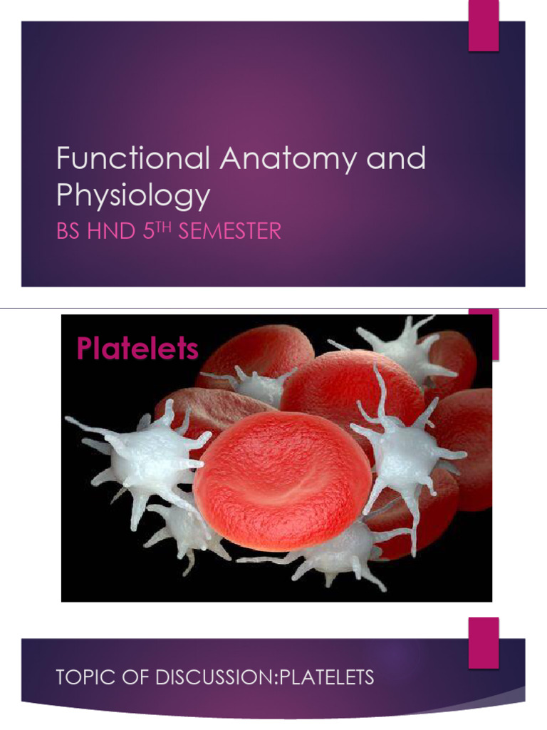 Platelets | PDF | Platelet | Coagulation