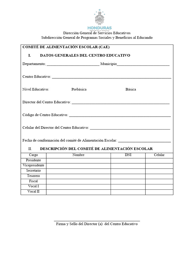 Formato Organizar Cae 2024 | PDF