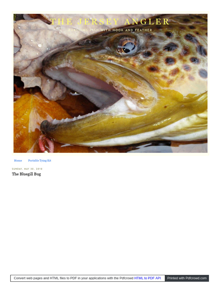 Triangle Bug Pattern and Tying | PDF | Home & Garden | Computers