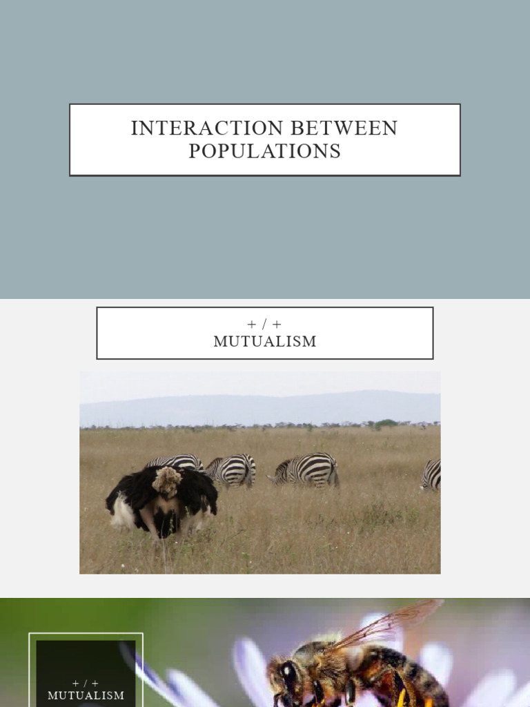 Interactions Between Populations. - Lesson8 | PDF