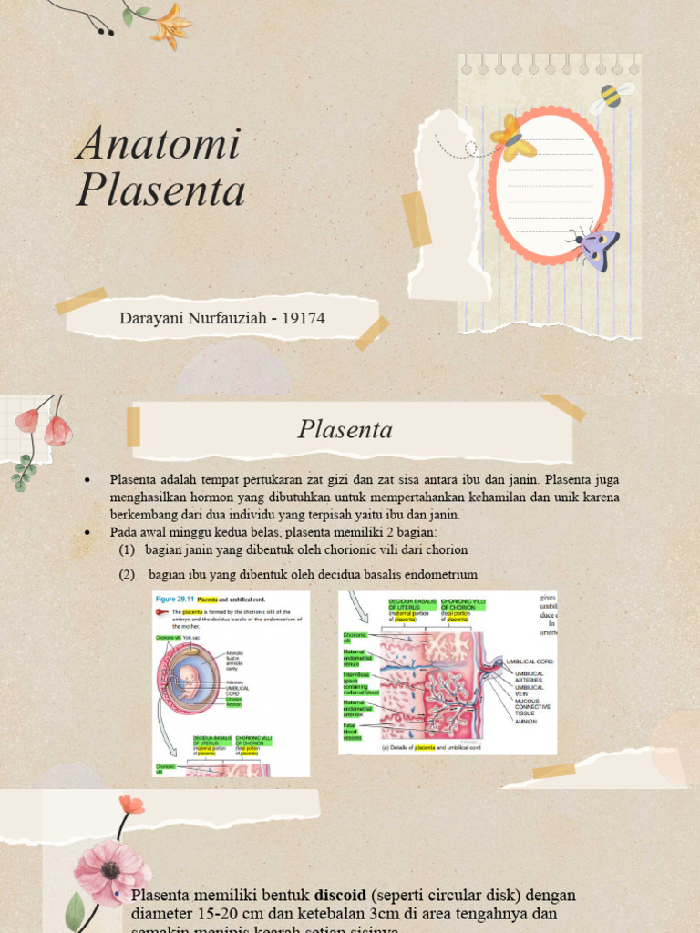 PPT CASE 4 ANAT HISTO | PDF