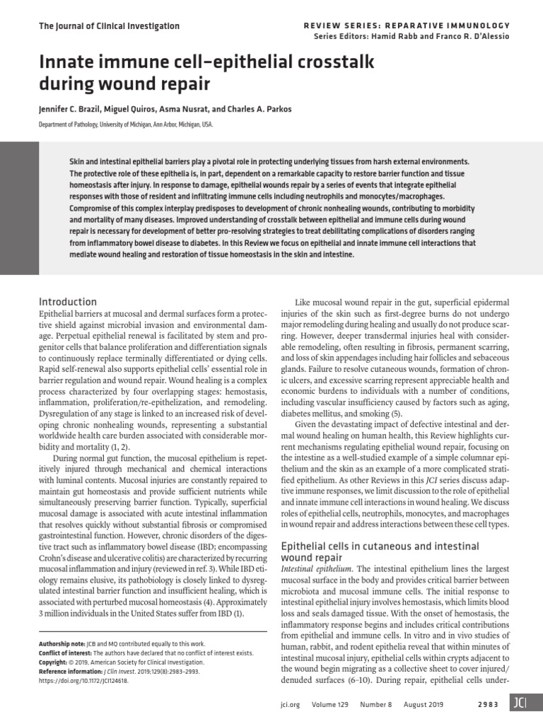Innate Immune Cell-Epithelial Crosstalk During Wound Repair | PDF | Macrophage | Wound Healing