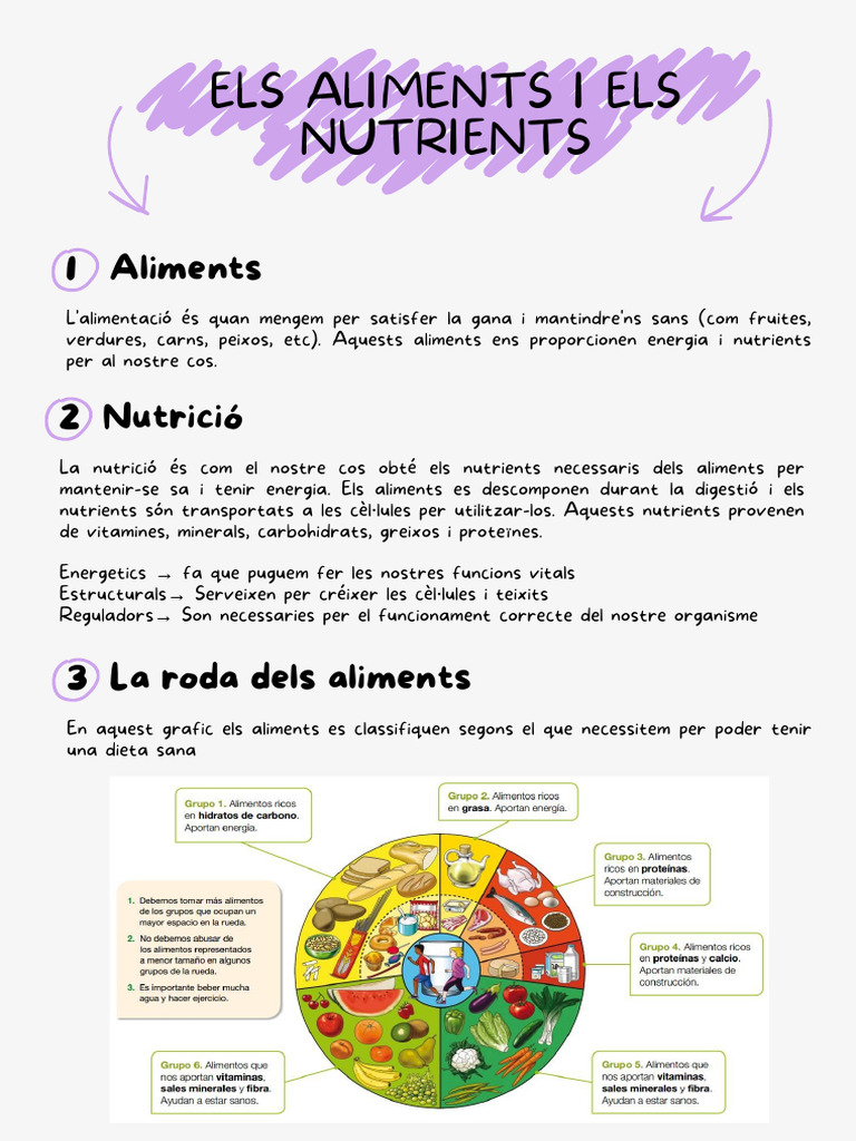 Els Aliments I Els Nutrients | PDF