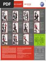 Total Gym Incline Bodyweight Trainer Exercise Chart - Spec | PDF ...