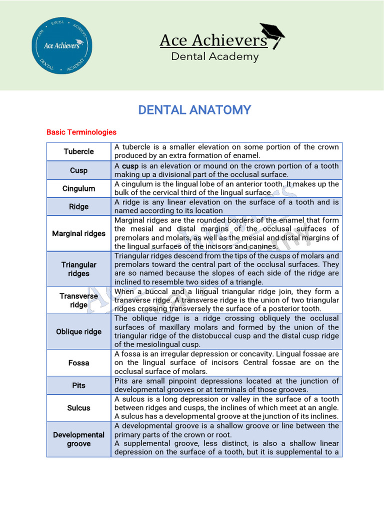 Dental Anatomy | PDF | Dental Anatomy | Tooth
