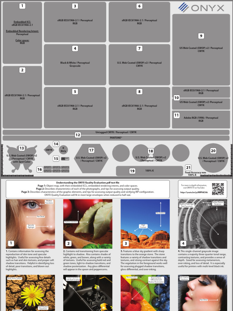 ONYX Quality Evaluation - FAQ | PDF | Rgb Color Model | Qualia
