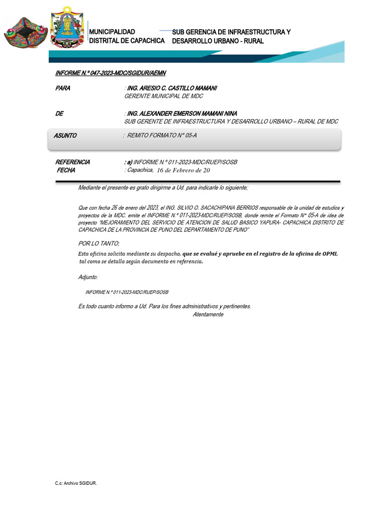 047 Informe Remito Formato 5a | PDF