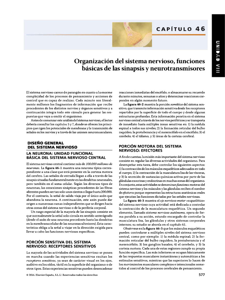 Cap 46 Compressed | PDF