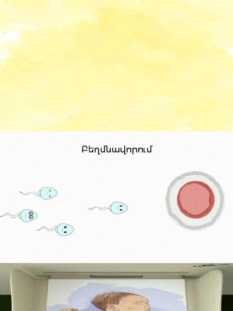 Reproductive System Pdf Reproductive System Menstrual Cycle