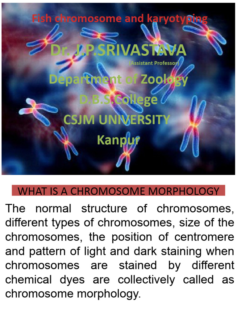 Fish Chromosome and Karyotyping | PDF | Chromosome | Biotechnology