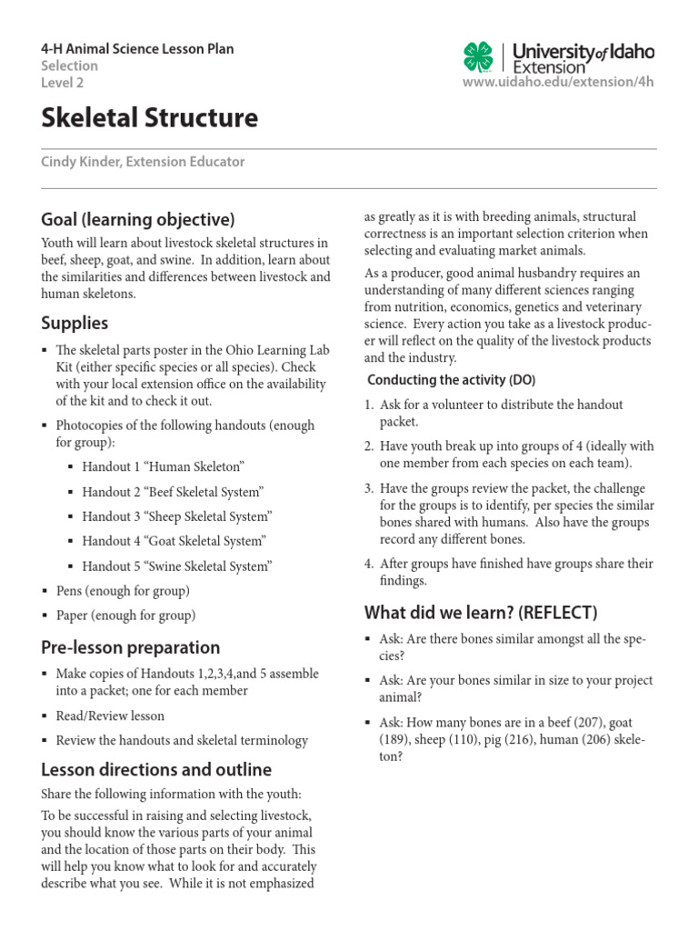 Selection Skeletal Structure L2 CKinder ALL | PDF | Livestock | Skeleton