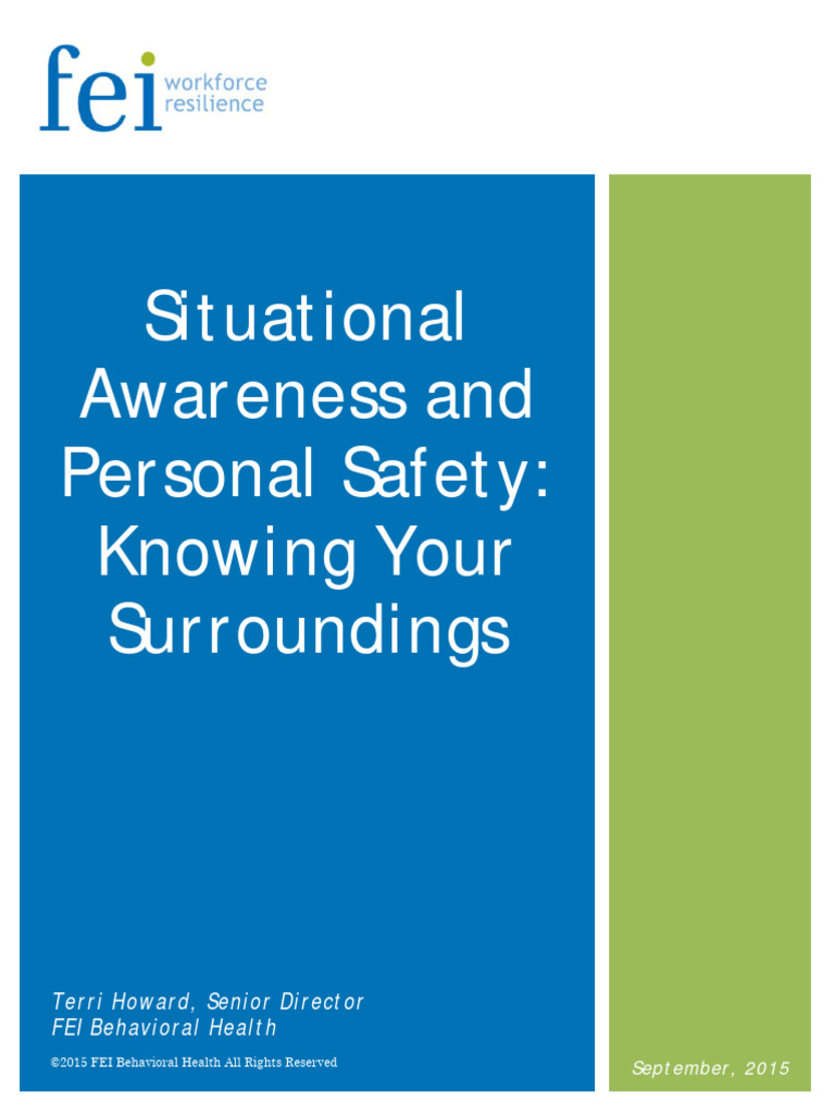Situational Awareness WP - Formatted | PDF | Crisis Management ...