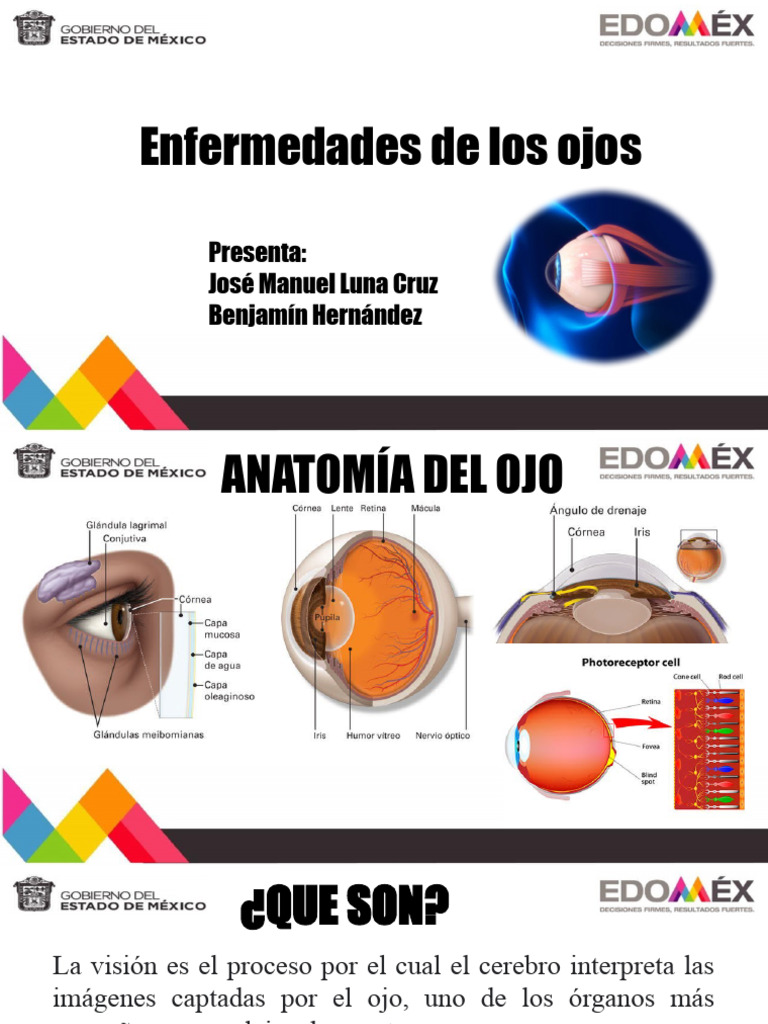 Enfermedades de Los Ojos | PDF | Ojo humano | Alergia