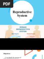 Male Reproductive System Side View Diagram | PDF