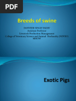 Chapter 2 RRL of Piggery | PDF | Agriculture | Pig