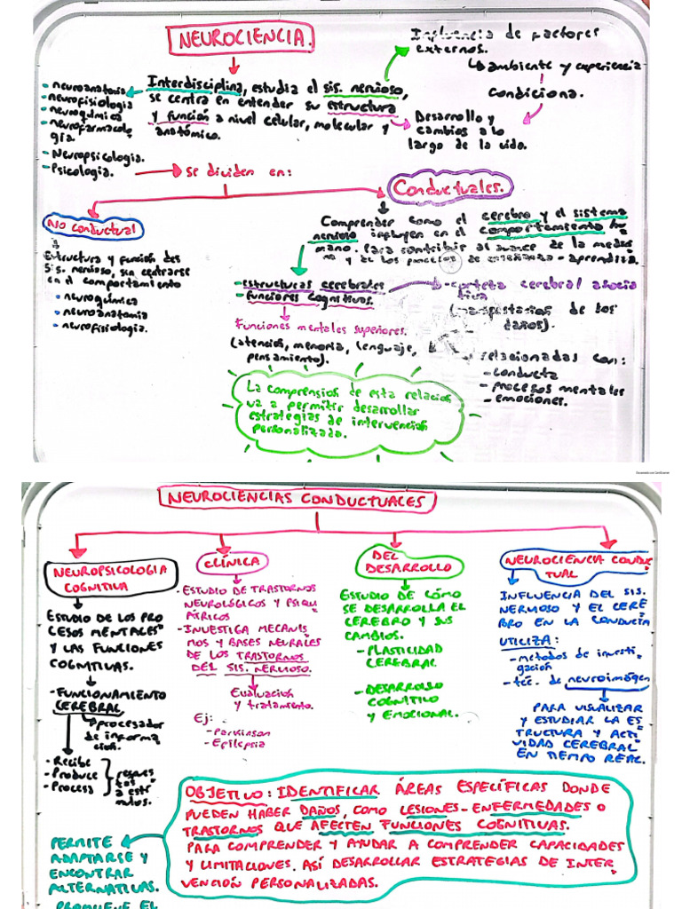 Neuro Resumen Corte 2022 y 2023 | PDF