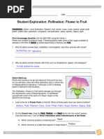Pollination Worksheet Stage 5 Worksheet | PDF | Pollination | Science
