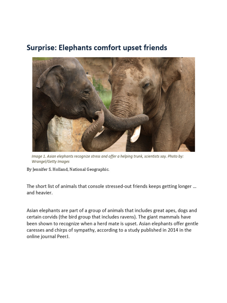 Surprise - Elephants Comfort Upset Friends | PDF | Empathy | Elephant
